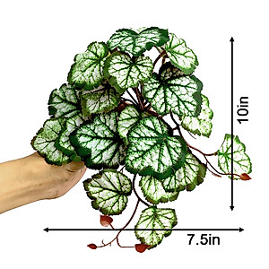 Woyrise Reptile Plants, Terrarium Hanging Plants Vines for Reptile Tank, Amphibian Habitat Leaves Decor with Suction Cups for Bearded Dragon Lizard Snake Gecko Frog Hermit Crab - 2Pack Green Heuchera
