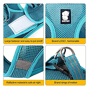 Heywean Cat Harness and Leash - Ultra Light Escape Proof Kitten Collar Cat Walking Jacket with Running Cushioning Soft and Comfortable Suitable for Puppies Rabbits (M, Turquoise)