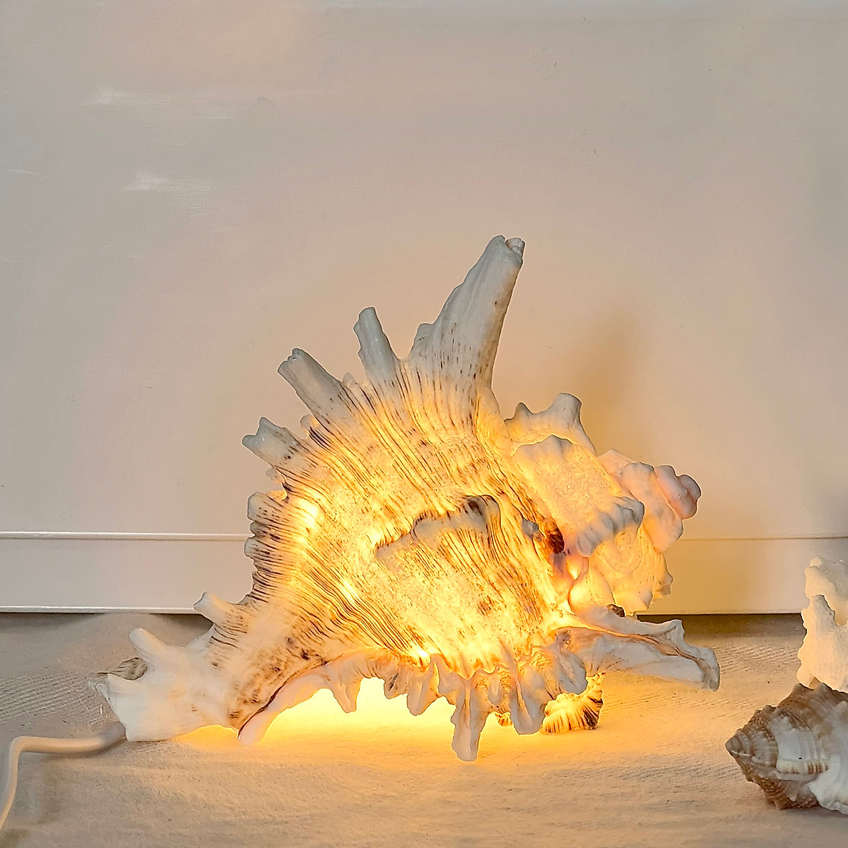 MIYA LIFE Magic Conch Shell Lamp - LED Lighted Real Conch Shell Night Light (Medium, Largest Side Around 5.5'') USB Plug & Battery Powered Seashell Lamp Sea Lamp for Bedroom Beach Themed Room Decor