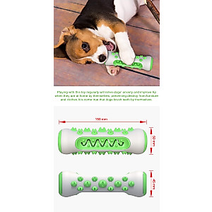 Dog Toothbrush Toy, Dog Toys- Dog Chew Toy for Small Medium Dogs, Dog Teeth Cleaning Dental Care Natural Rubber Tough Durable