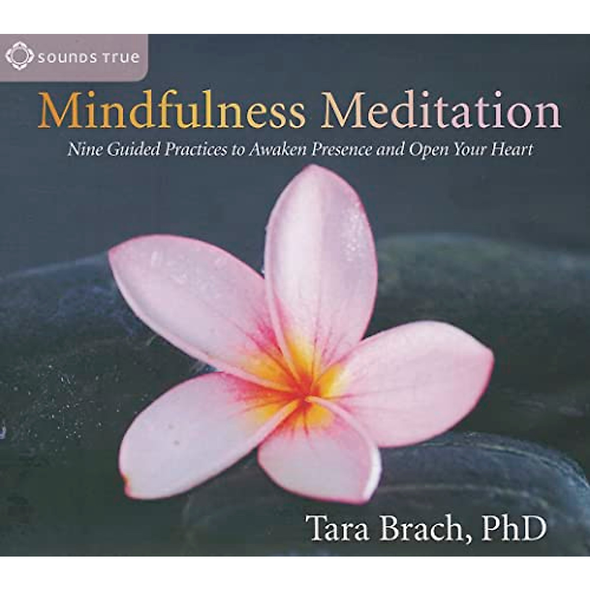 Mindfulness Meditation: Nine Guided Practices to Awaken Presence and Open Your Heart