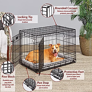 Dog Crate | MidWest Life Stages 36" Double Door Folding Metal Dog Crate | Divider Panel, Floor Protecting Feet, Leak-Proof Dog Pan | 36L x 23W x 25H Inches, Intermediate Dog Breed