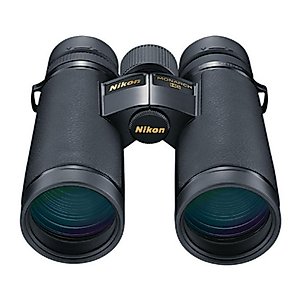 Nikon Monarch HG 10X42 Binocular, Black (16028)