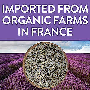 Organic Lavender Flowers Dried | Perfect for Tea, Baking, Lemonade, DIY Beauty, Sachets & Fresh Fragrance | 100% Raw From France | Jumbo 16oz Resealable Kraft Bag | by FGO