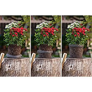 VOLE KING Plant Baskets - Gopher and Vole Baskets, 15 Gallon, Pack of 1 - Protect Plants, Trees, Flowers and Bulbs from Voles, Gophers and Moles - A One Time Solution, No Repellent Needed