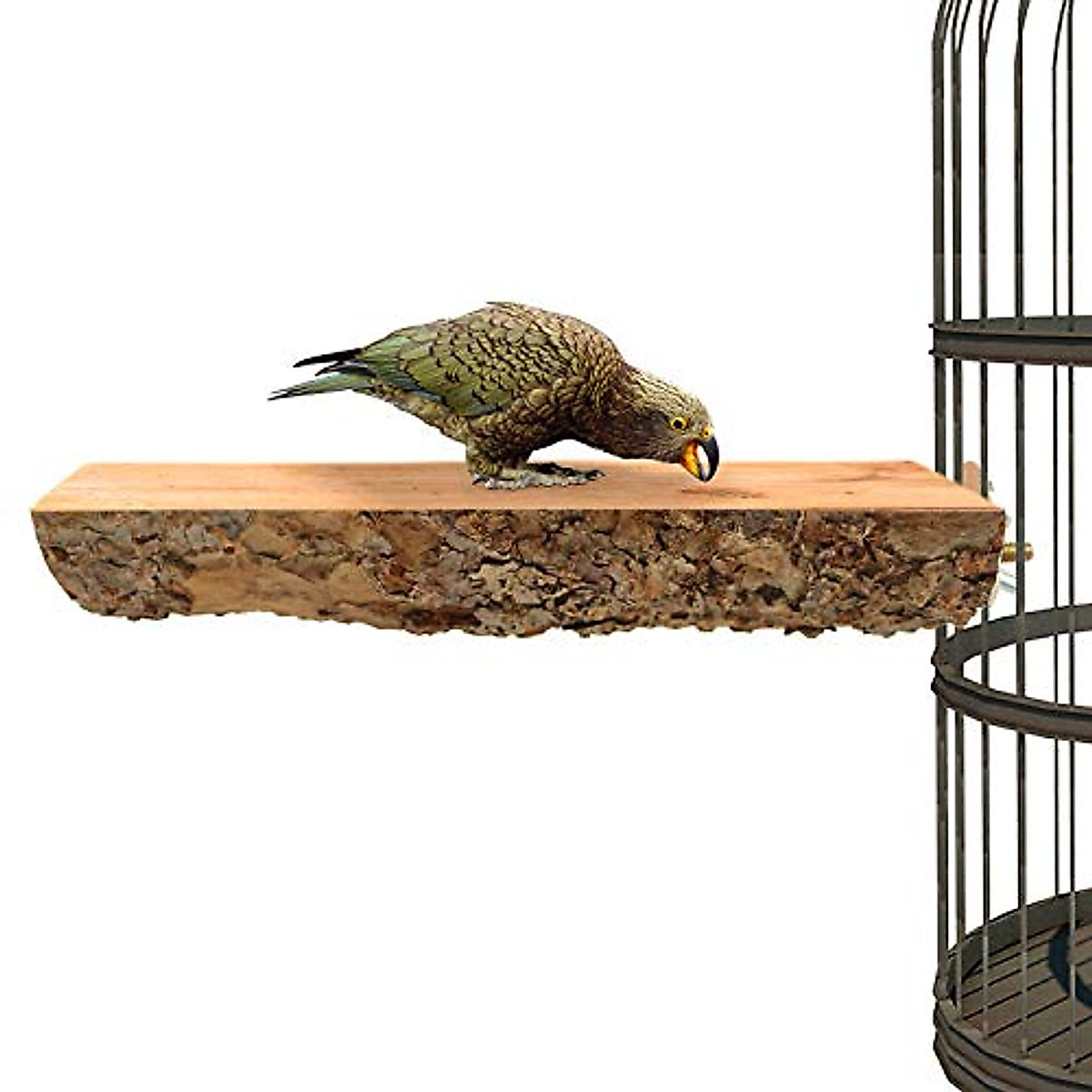 3 Pack Apple Wood Bird Perch for Cage, Natural Wooden Parrot Perch Stand Platform Exercise Climbing Paw Grinding Toy Playground Accessories for Parakeet, Conure, Cockatiel, Budgie, Lovebirds (H01)