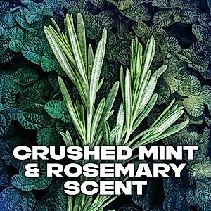 AXE Antiperspirant Deodorant for Men Phoenix 4PK 48H Sweat & Odor Protection for Long Lasting Freshness, Crushed Mint & Rosemary Men's Deodorant 2.7 oz