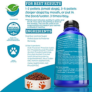 Healthy Animals 4Ever Supports Pregnancy, Boosts Lactation May Prevent Potential Pregnancy & Nursing Issues Safe, Caring, Natural Support Solution Fast Acting Formula Guarantee