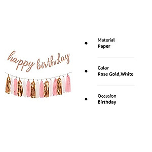 Aonor Rose Gold Birthday Party Decorations - Glittery Rose Gold Happy Birthday Banner and Tissue Paper Tassels Garland for Birthday Decorations