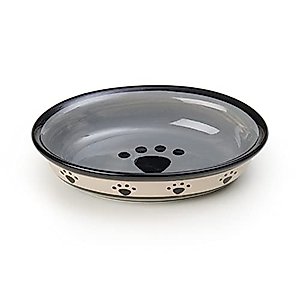 PetRageous 44247 Oval Metro Paws Stoneware Cat Bowl 6.25-Inch Wide and 1.5-Inch Tall Saucer with 1-Cup Capacity and Dishwasher and Microwave Safe for Small Dogs and Cats, Multicolored