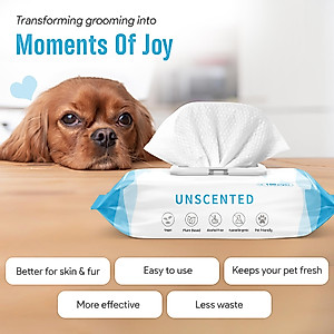 Petazy 100 Dog Wipes for Paws and Butt Ears Eyes Unscented | Organic Hypoallergenic Pet Wipes for Dogs with Aloe Vera | Dog Wipes Cleaning Deodorizing | Extra Thick Dog Paw Wipes Dogs Cat Puppy Pets