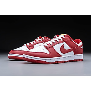 Nike Mens Dunk Low Retro DD1391 602 USC - Size 11