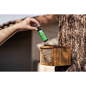 Donaldson Farms Natural Mason Bee Attractant, 2oz – Mason Bee Lure Attractant for Mason Bee Hives, Natural Bee Attractant Garden Spray, Lemon Grass Oil Bees Attractant for Mason Bee Houses