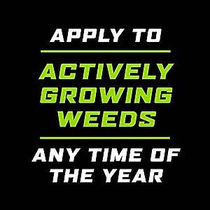 Ortho GroundClear Weed & Grass Killer Refill - Grass Killer & Weed Control, Kills Broadleaf Weeds, Use in Landscape Beds, Around Vegetable Gardens, on Patios & More, See Results in 15 Minutes, 1 gal.