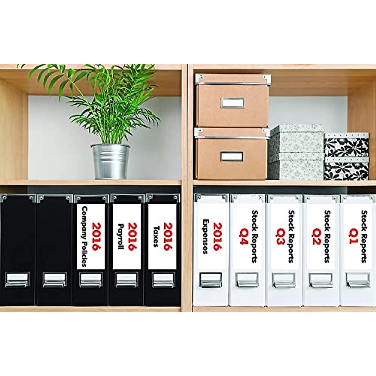 Brother QL-810W Ultra-Fast Label Printer with Wireless Networking, Print Black/Red Labels per Minute Up to 300 x 600 dpi, Durable Automatic Cutter up to 2.4" Wide, USB 2.0, CBMOUN Extension_Cable