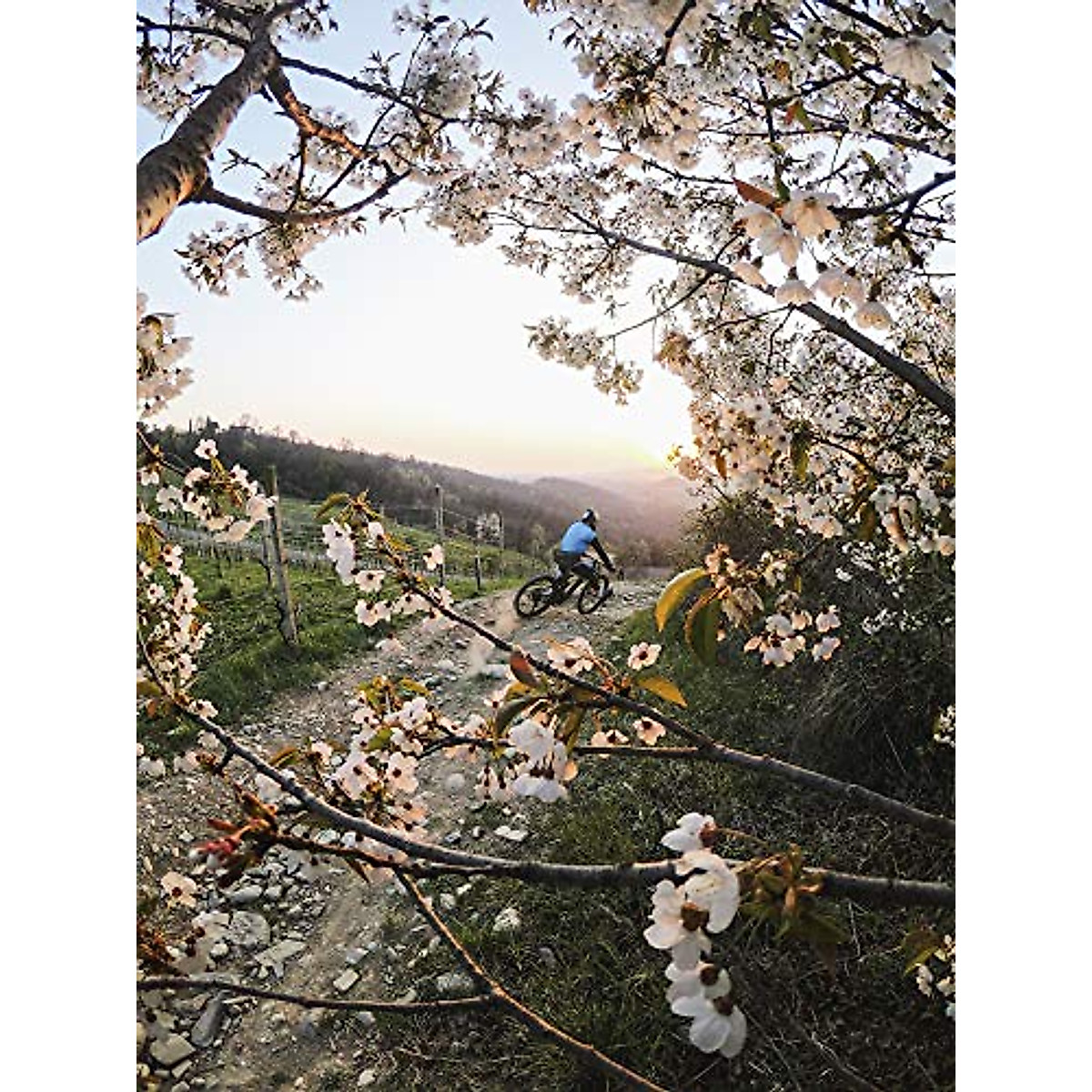 GoPro HERO9 Black - Waterproof Action Camera with Front LCD and Touch Rear Screens, 5K Ultra HD Video, 20MP Photos, 1080p Live Streaming, Webcam, Stabilization