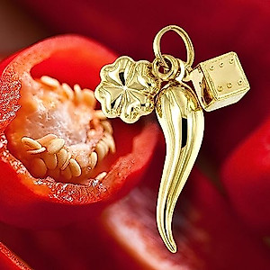 Lucchetta - Italian Horn Pendant with Dice and Clover - Lucky Charm Jewelry 14 kt Yellow Gold, Womens 14k Charms for Necklaces up to 4mm, Authentic Fine Jewelry from Italy