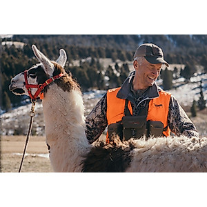 Gerber Gear Randy Newberg EBS - Hunting Knife with Exchangeable Blades for Camping & Hunting Gear