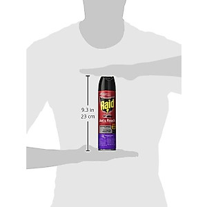 Raid Ant & Roach Killer Spray For Listed Bugs, Keeps Killing for Weeks, Lavender Scent 12 Ounce (Pack of 1)
