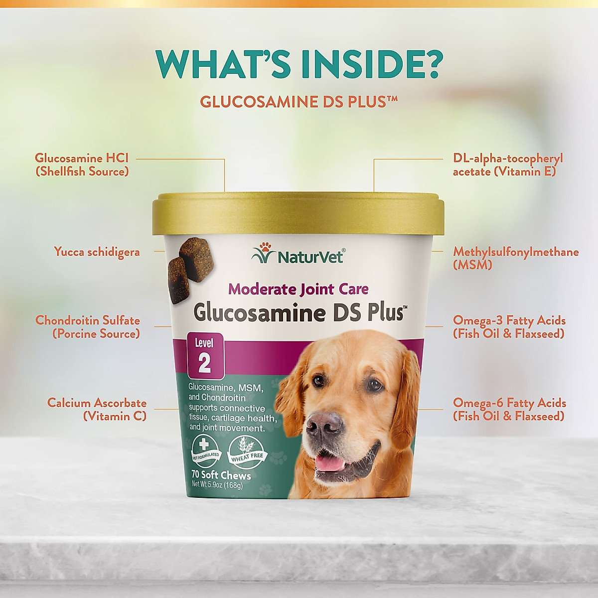 NaturVet – Glucosamine DS Plus - Level 2 Moderate Care – Supports Healthy Hip & Joint Function – 70 Soft Chews & Advanced Probiotics and Enzymes Supplement, Plus Vet Strength Probiotic 70 Soft Chews