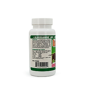 Arthritis & Join Pain Relief Dietary Supplement Small Dogs & Cats by Interfarma Corp | Cartilage Protection, Reduce Inflammation, & Joint Support | with Glucosamine, Chondroitin, Collagen, & MSM.