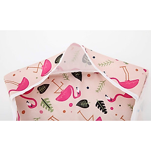 Sigzagor Baby Bib Sleeved Shirt with Pocket 1-3 Years Old Toddler Painting for Girls (Flamingo Cactus)