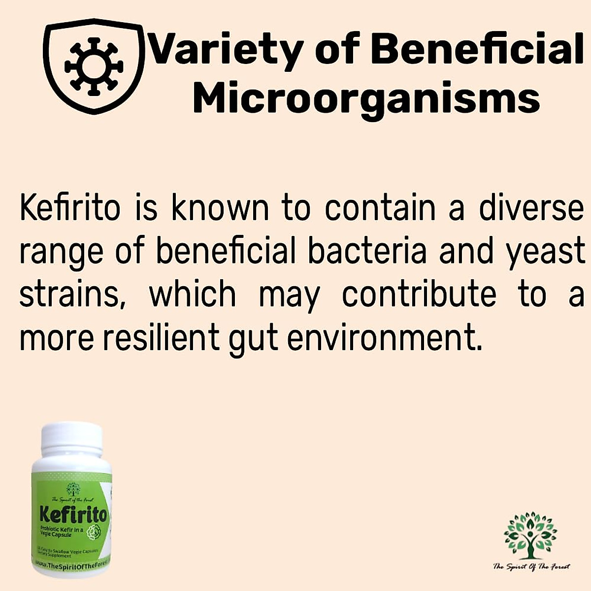 Kefirito 60 Veggie Capsules, 50 Billion CFU, 7 Probiotic Strains Kefiran, 582 mg Natural Active Probiotic, Supports Healthy Digestion, Gluten-Free, Lactosa-Free The Spirit Of The Forest 1 Month Supply