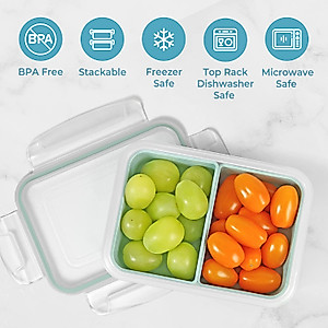 carrotez Food Storage Containers 2 Compartment, Meal Prep Container, Lunch Containers, Portion Control Container, BPA Free, Airtight Lids, Reusable, Snack Containers, 2 Cup (480ml)