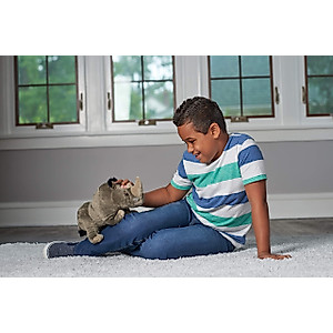 Wild Republic White Rhino Plush, Stuffed Animal, Plush Toy, Gifts for Kids, Cuddlekins 12