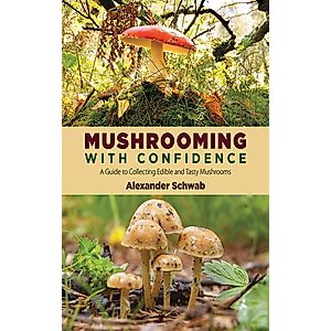 Mushrooming with Confidence: A Guide to Collecting Edible and Tasty Mushrooms