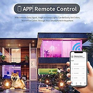 Avatar Controls Smart LED Light Bulb, Alexa Light Bulbs WiFi Dimmable 2 Pack Work with Google Home/Smart Life APP, RGBCW Color Changing Lights, No Hub Required (800LM E26 A19 8W=70W Equivalent)
