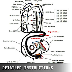 Mophorn 99-03 Standalone Wiring Harness with T56 Transmission for 1999-2003 DBC LS1 Vortec 4.8 5.3 6.0 4L60E