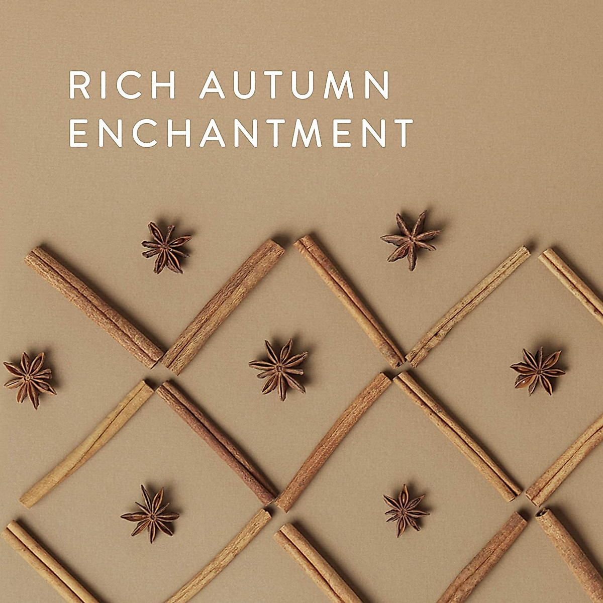 Thymes Simmered Cider Candle - 2 Oz