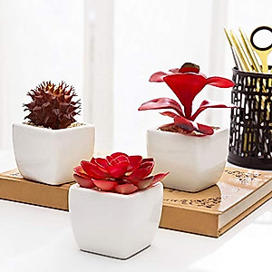 MyGift Assorted Artificial Red Succulent Plants, Mini Fake Desert Plants in White Square Pots, Set of 3