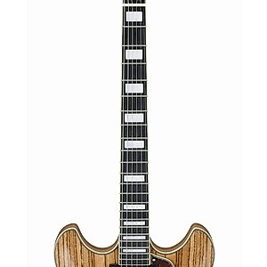 Ibanez AS93ZW Artcore Expressionist Zebra Wood Semi-Hollow Body Natural