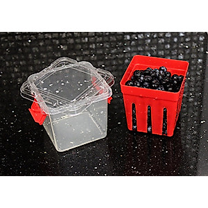 Fruit and Vegetable Saver Storage Basket Strawberries Blueberries - Promotes Airflow and Prevents Spoilage Produce Storage Container with Lid BPA-FREE
