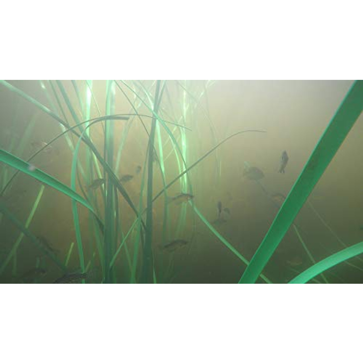 Honey Hole Grass Artificial Fish Habitat