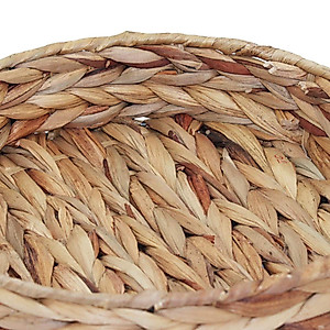 Fruit Tray Weaving by Grass, Round Bins for Vegetable, Arts and Crafts. (Small)