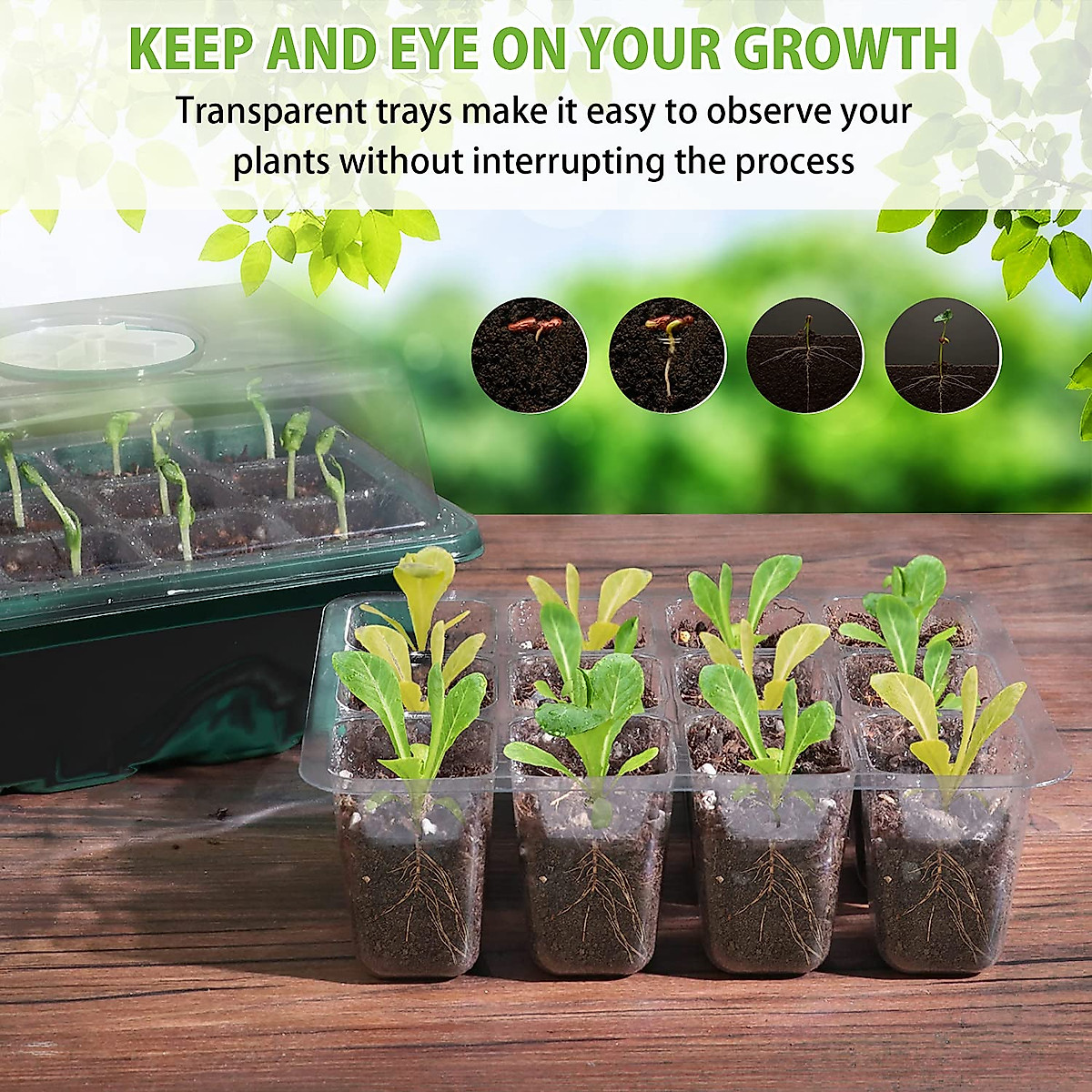 6-Set Seed Starter Kit with Grow Light - 12 Cells Seed Starter Trays with Humidity Dome and Seed Tray for Indoor Gardening Plant Seedling Germination Growing Propagation Kit