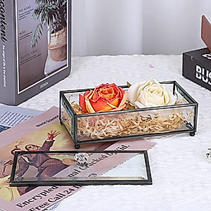 JUXYES Clear Glass Jewelry Box With Lid, Beveled Glass Keepsake Box Transparent Jewelry Organizer Box Modern Thickened Glass Vanity Decorative Box Personalized Countertop Trinket Box Organizer