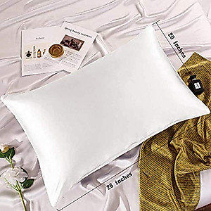 Adubor Mulberry Silk Pillowcase for Hair and Skin with Hidden Zipper, Both Side 23 Momme Silk,900 Thread Count (20x26inch, Standard Size, Ivory White, 1pc)