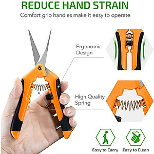 iPower GLPRNR6ORV1 6.5 Inch Gardening Pruning Shears Hand Scissors with Straight Stainless Steel Blades for Trimming Herbs, Flowers, Bonsai, 1-Pack, Orange