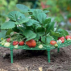 Iceyyyy 5 Packs Strawberry Supports - Strawberry Plant Support Strawberry Growing Racks Strawberry Growing Frame