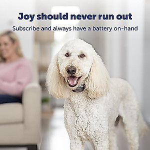 PetSafe RFA-188 3 Volt Replacement Battery Module - Compatible with PetSafe 3V Lithium Battery-Operated Products for Cats and Dogs - ( RFA 188 )