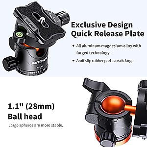 K&F Concept 67 inch Camera Tripod Horizontal Aluminum Tripods Portable Monopod with 360 Degree Ball Head Quick Release Plate for DSLR Cameras T255A4+BH-28L (TM2515T1)