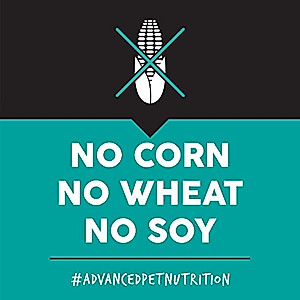 Ultimates Sensitive with Lamb Protein Dry Dog Food (28 lb. Bag)