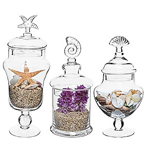 MyGift Clear Glass Apothecary Jars with Lid, Decorative Seashell Design Bathroom Canister, Footed Candy Buffet Containers, Set of 3