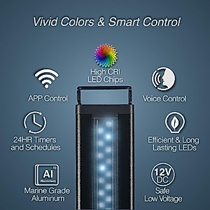 CURRENT USA ColorPlus Smart LED Aquarium Light 36 inch with App and Voice Control by Alexa & Google Home | Extra Vivid Colors for Freshwater Aquarium Fish Tank and Terrariums| Aluminum (36" to 48")