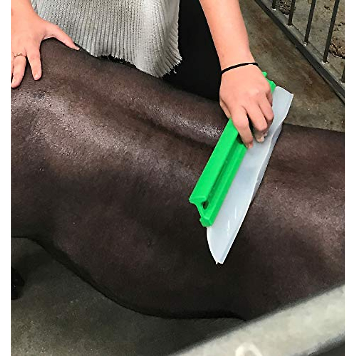 One Pass Horse & Livestock Body Blade, Sweat Scraper