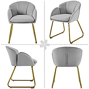 Yaheetech Flower Shape Velvet Armchair, Modern Side Chair Vanity Chair with Golden Metal Legs for Living Room/Dressing Room/Bedroom/Home Office/Kitchen, Gray